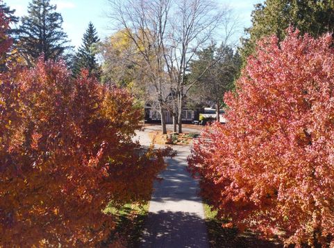 N2025 N Lakeshore Dr, Fontana, WI 53125 | MLS ID 1942081 - Baird & Warner